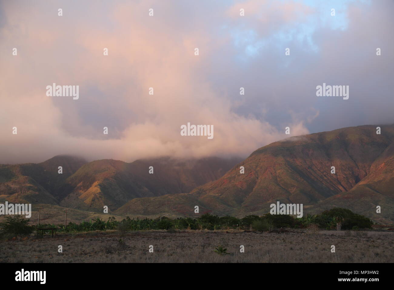 Lahaina landscape hi-res stock photography and images - Alamy