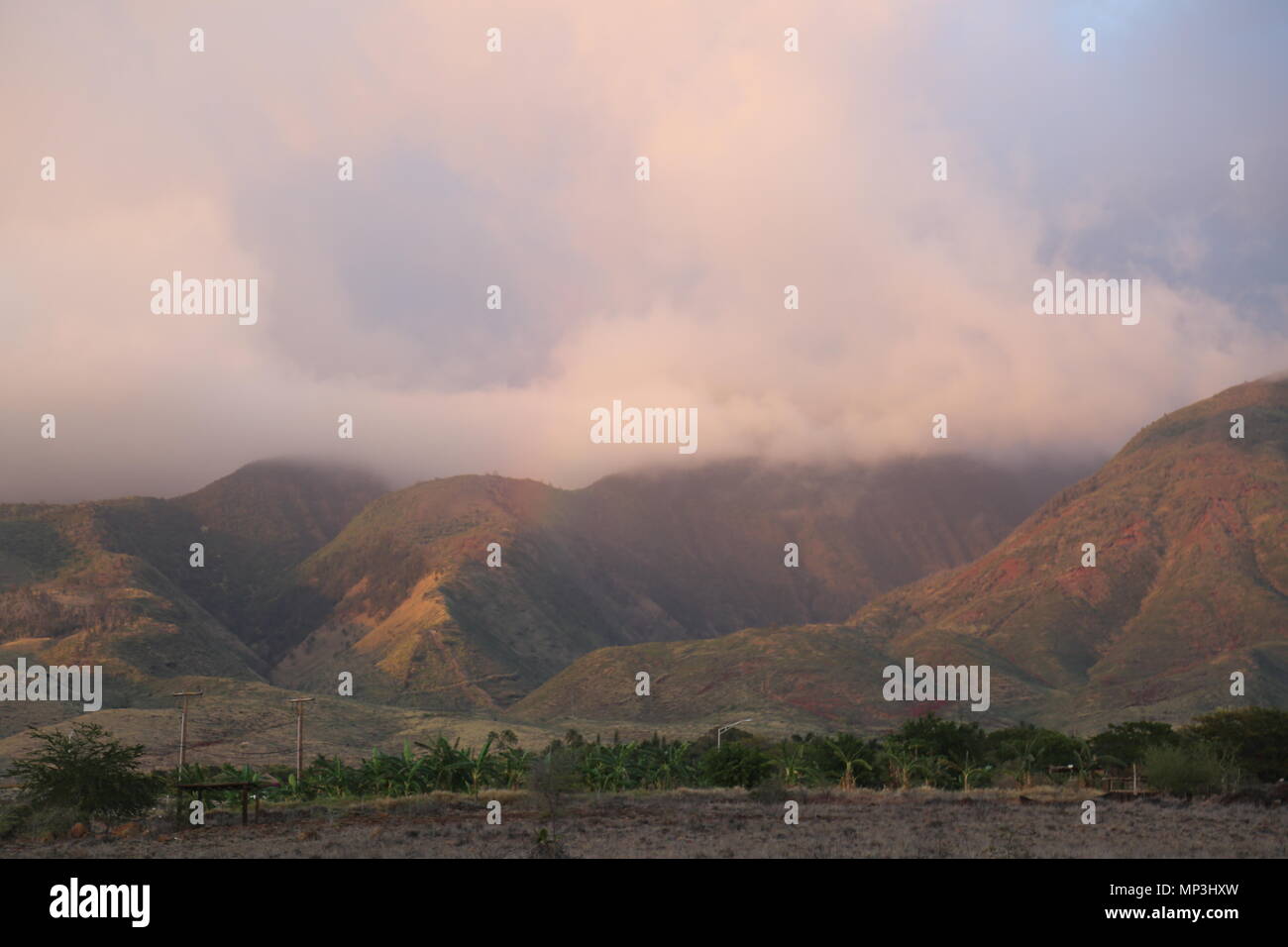 Lahaina landscape hi-res stock photography and images - Alamy