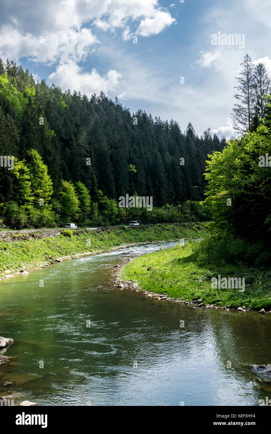 Aerial view of mountain river in summer Stock Photo - Alamy