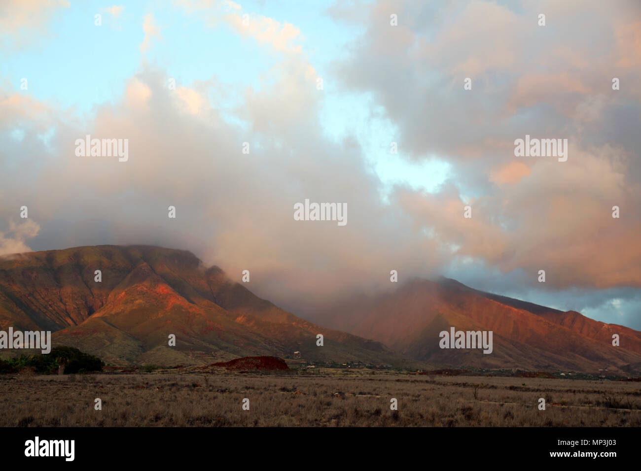 Lahaina landscape hi-res stock photography and images - Alamy