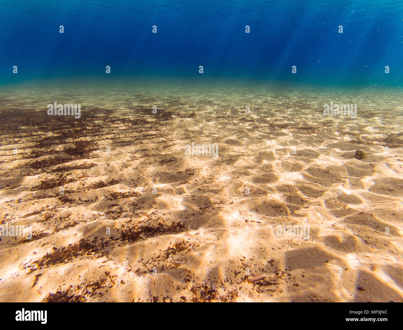 Underwater sea and sand with light rays Stock Photo - Alamy