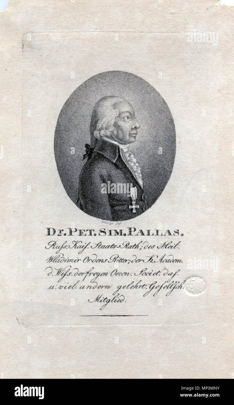 . Deutsch: Dr. Peter Simon Pallas (1741–1811), Radierung ...