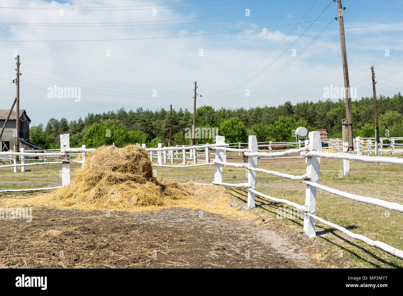 Farm scene with wooden log fence, bale of hay and barn. Countryside ...