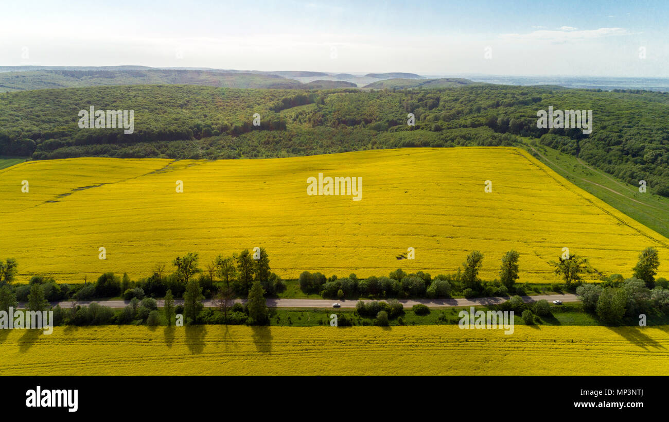 (plant Crop) (ukraine) High Resolution Stock Photography and Images - Alamy