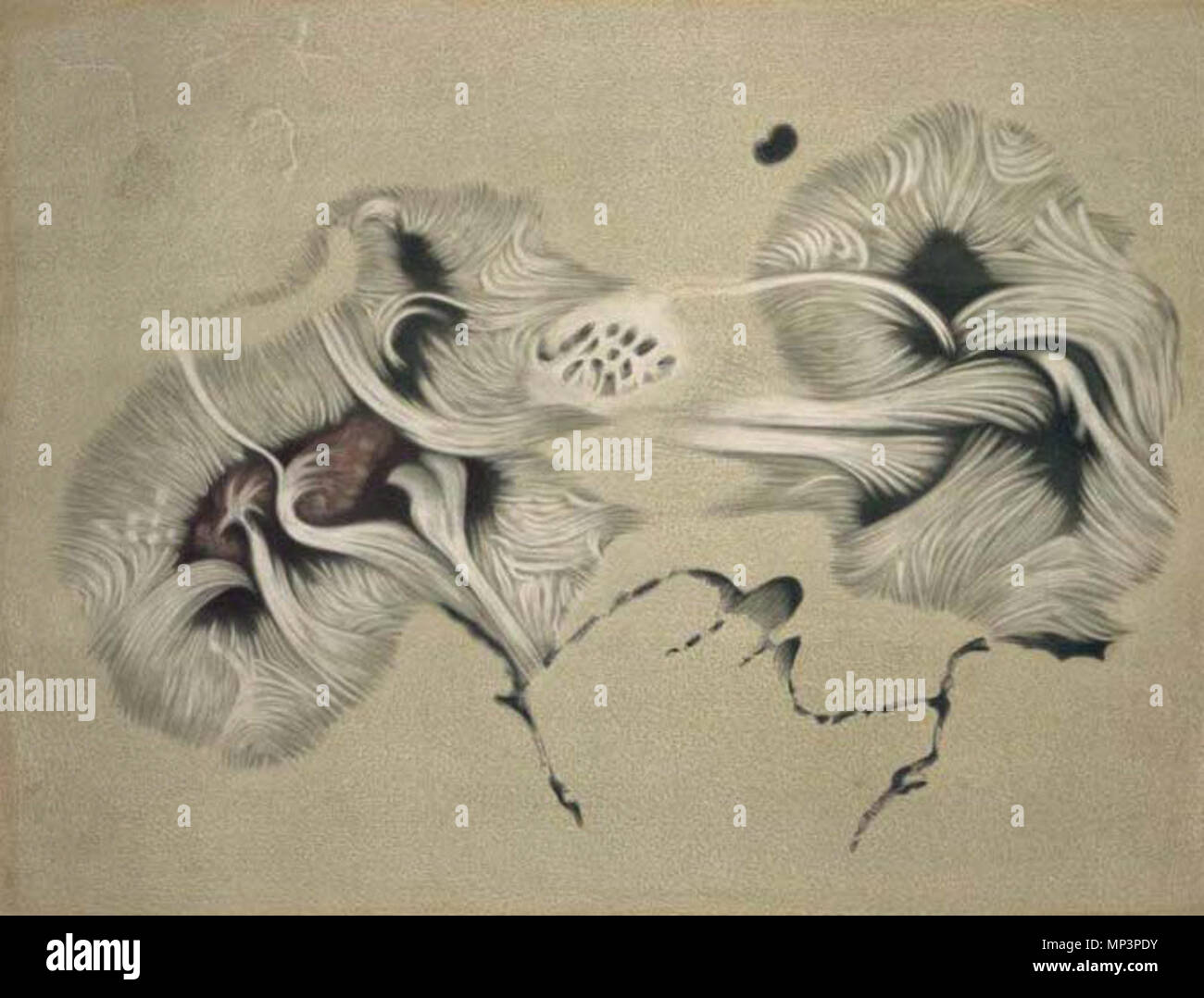 The trouvelot astronomical drawings hi-res stock photography and images ...