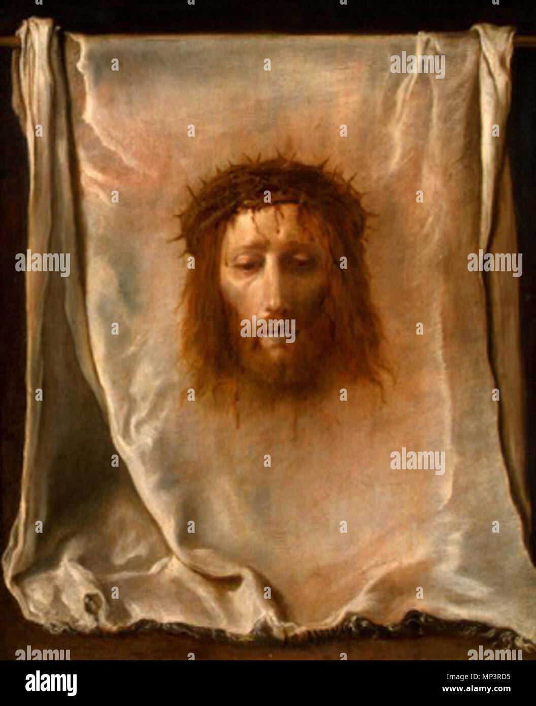 Veronicas veil hi-res stock photography and images - Alamy