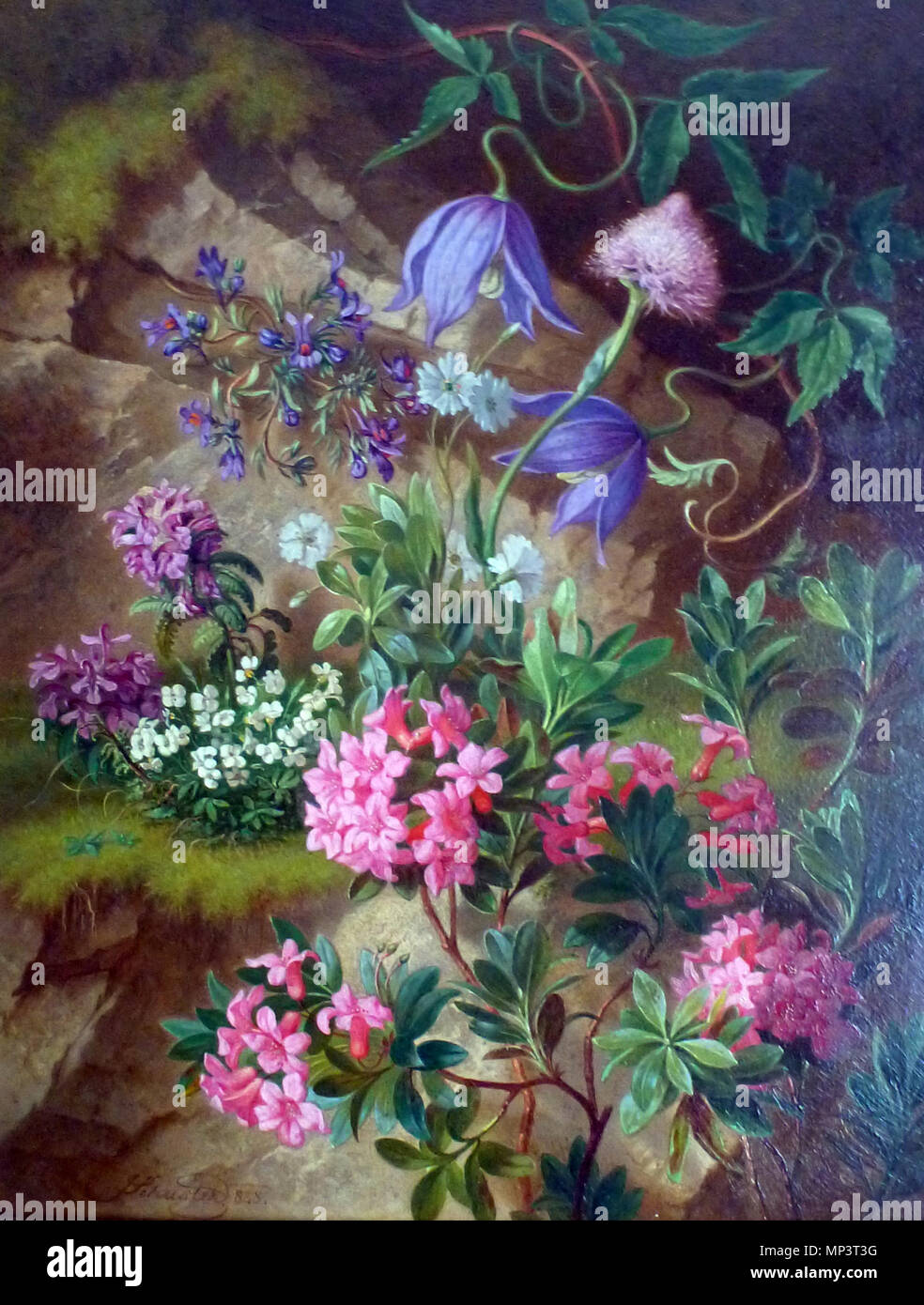 . Alpine Flowers Joseph Schuster (1812–1890) Alternative names Josef ...