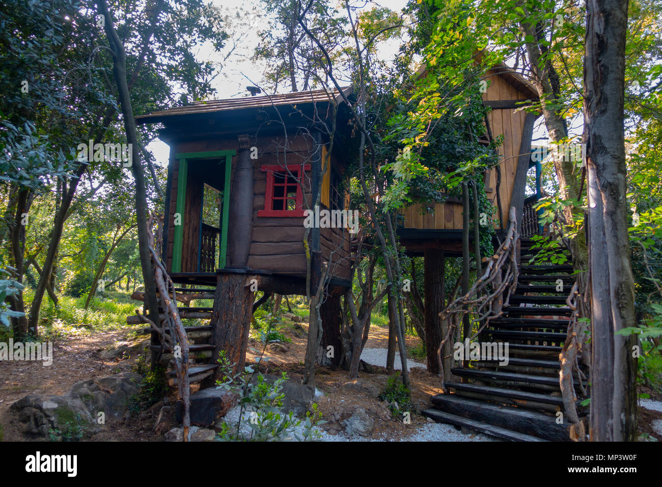 Tree House Hobbit Hole