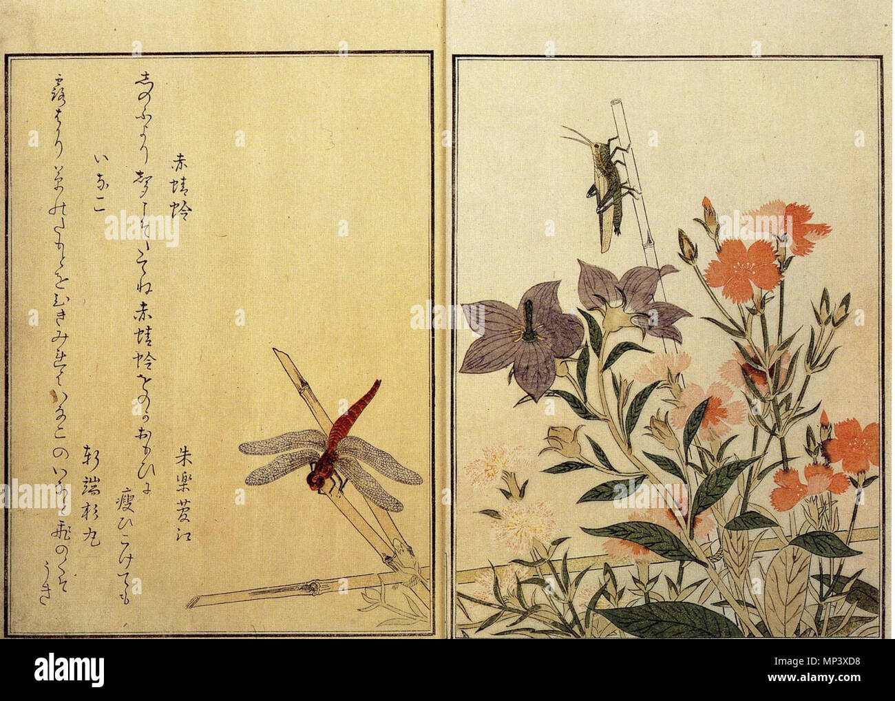 . English: UTAMARO Kitagawa: illustrated book of insects, c. 1788 ...