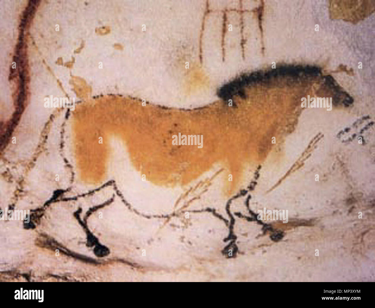 Cro magnon hi-res stock photography and images - Alamy