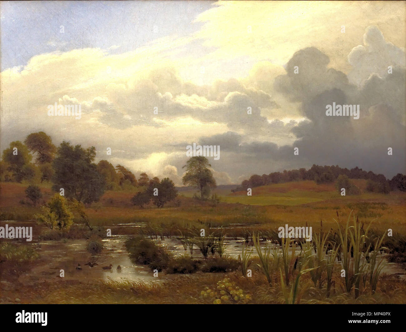 Nordskoven hi-res stock photography and images - Alamy