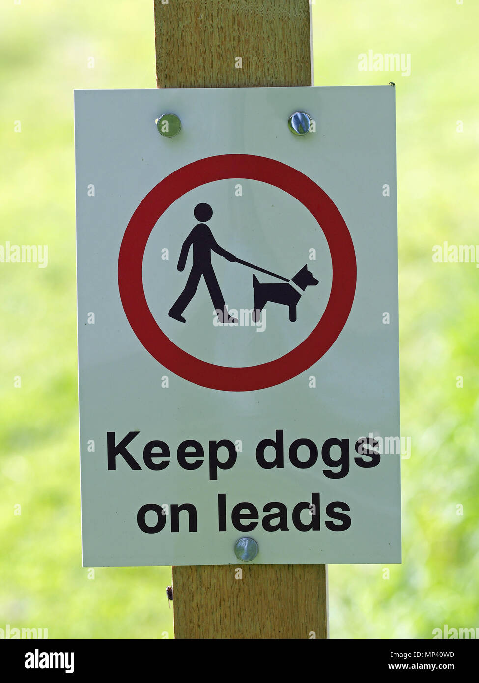 Dog on a lead sign hi-res stock photography and images - Alamy