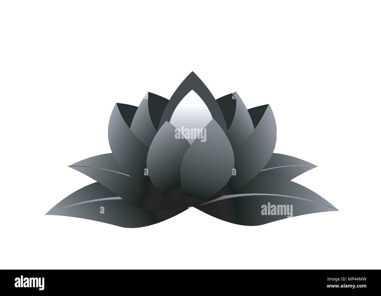 Drawing flora hi-res stock photography and images - Alamy