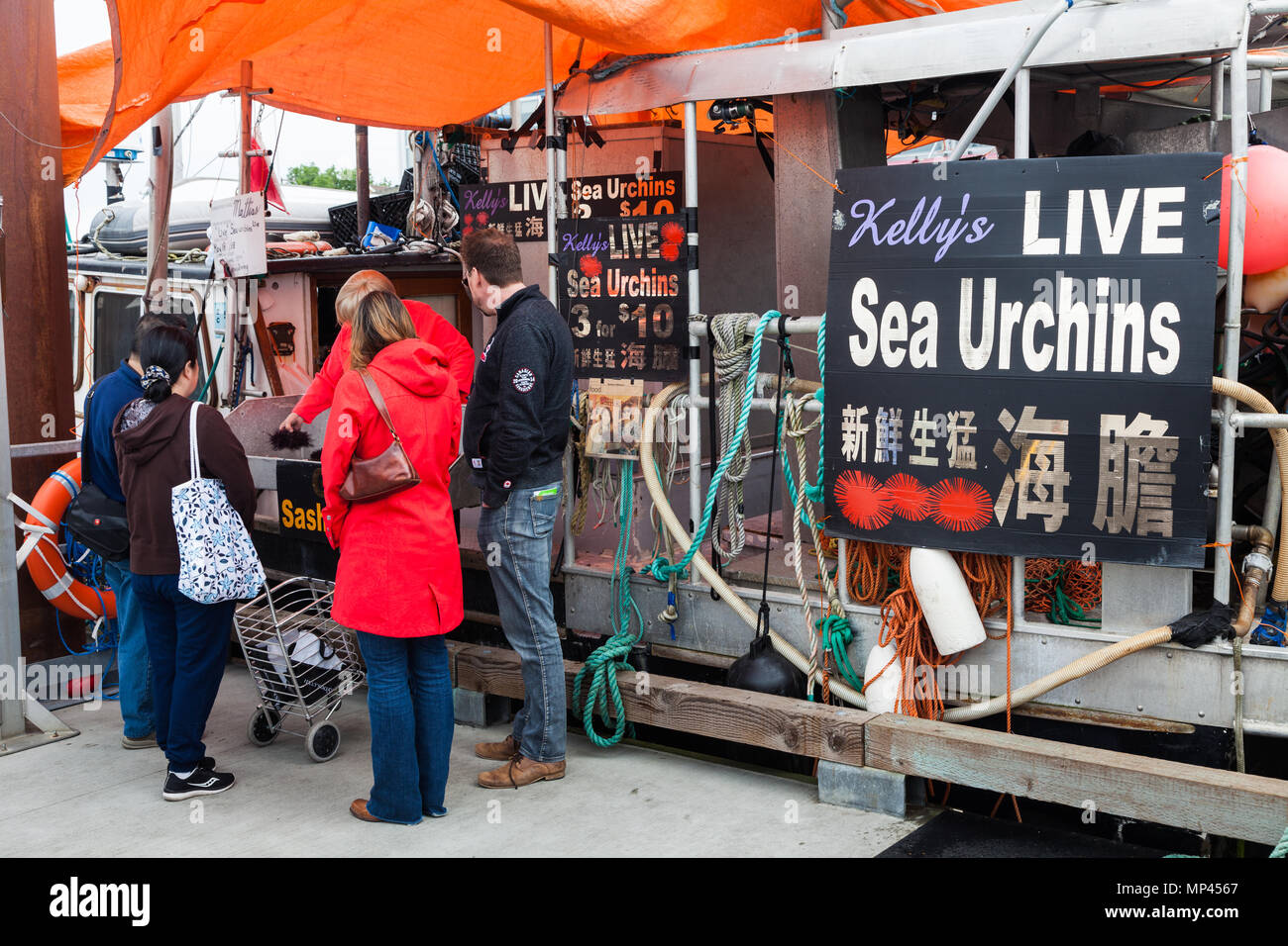 A vessel at the Steveston floating fish market selling Sea Urchins ...