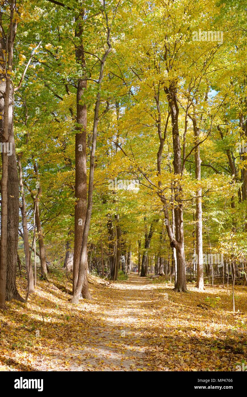 Ryerson hi-res stock photography and images - Alamy