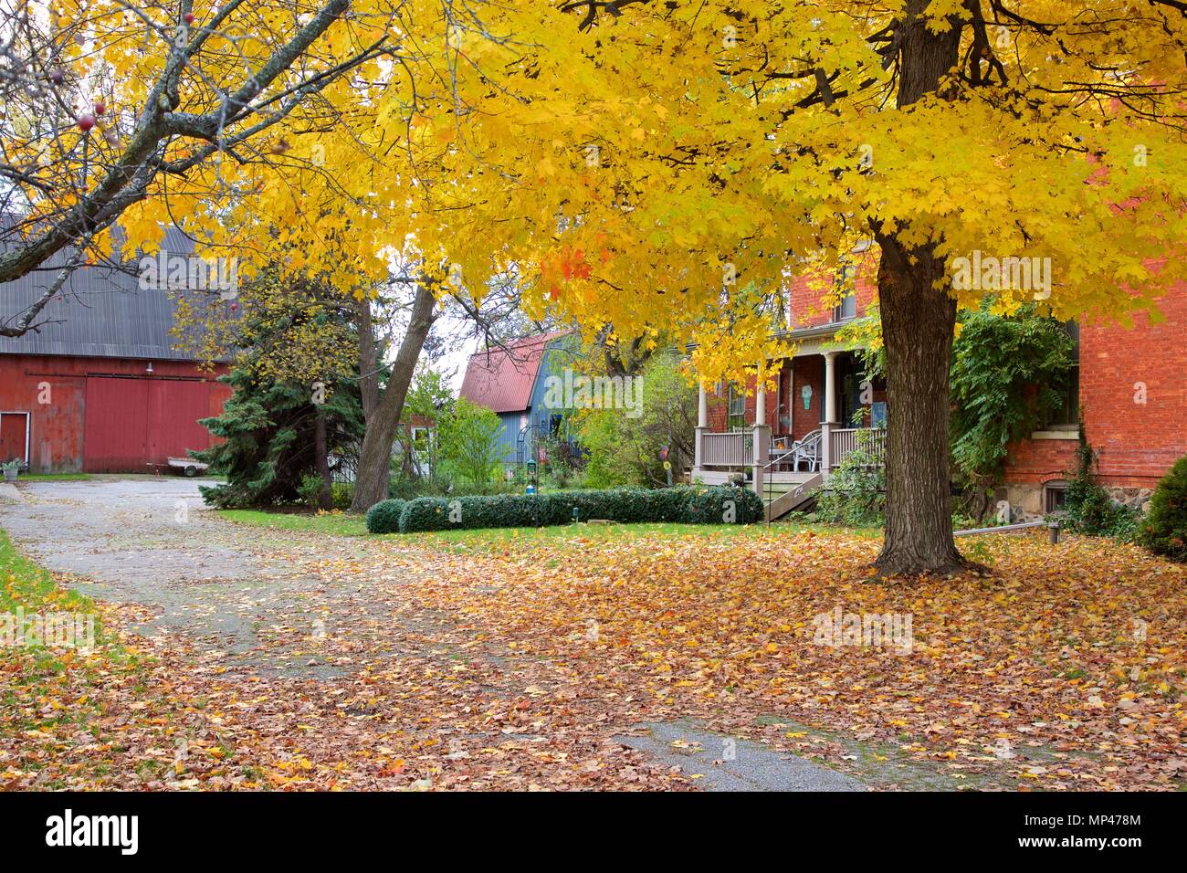 Beautiful autumn scene in hi-res stock photography and images - Alamy