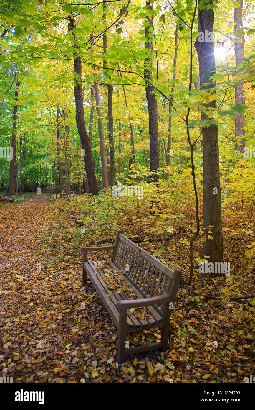 A "restful" Autumn scene at Reyerson Stock Photo - Alamy