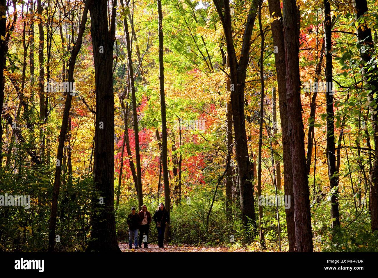 Hickers enjoying a full spectrum of fall colors Stock Photo - Alamy