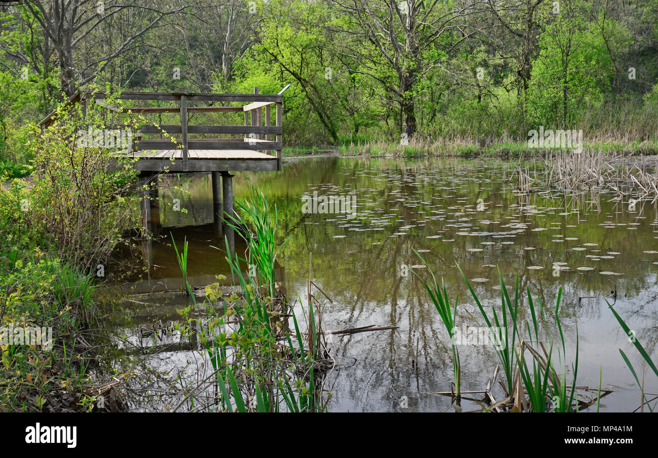 Royal botanical gardens canada hi-res stock photography and images - Alamy