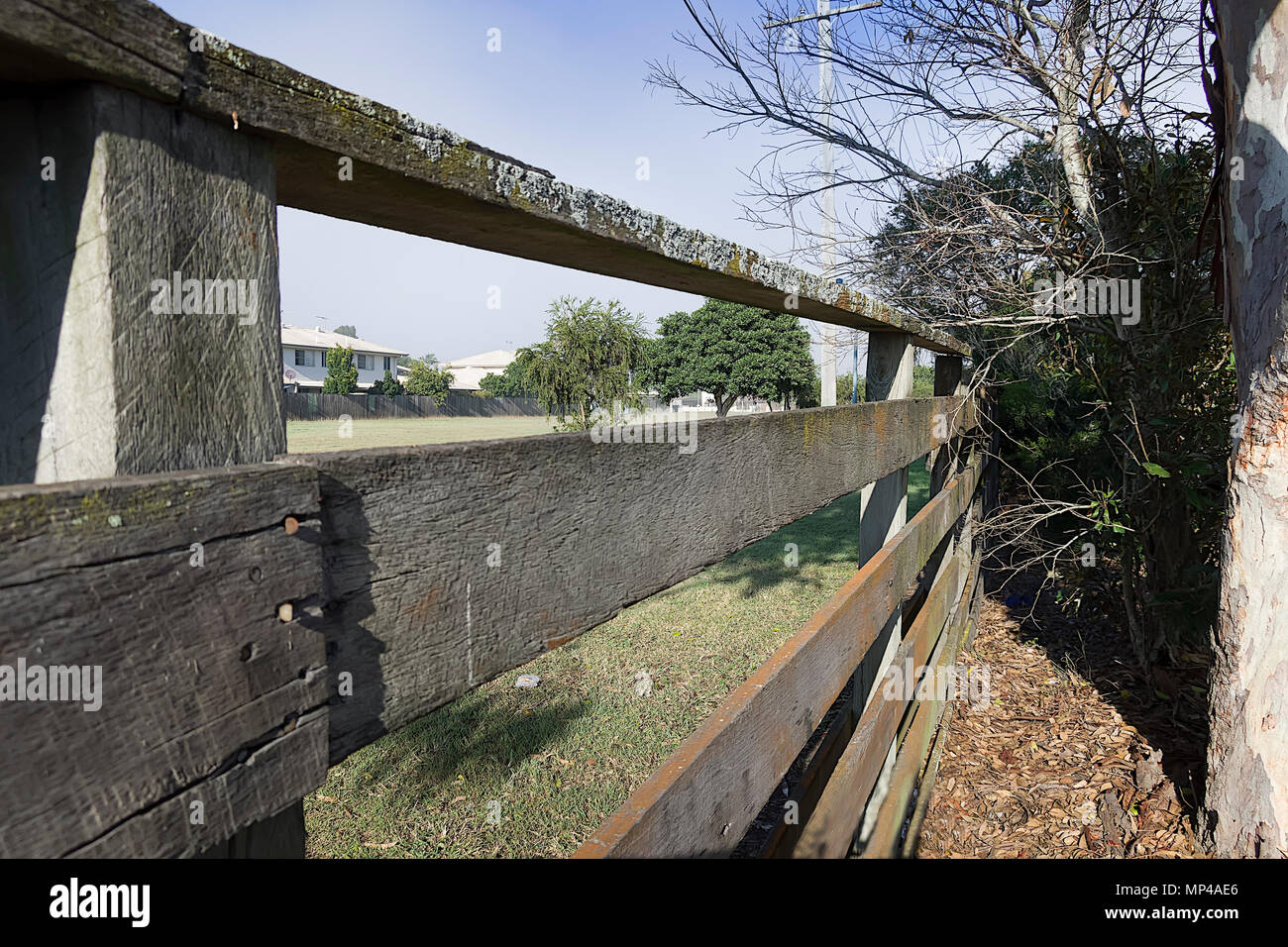 Peeking through fence hi-res stock photography and images - Alamy