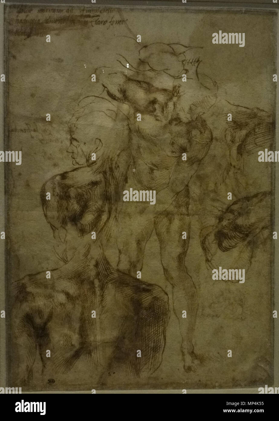 Verso lens hi-res stock photography and images - Alamy