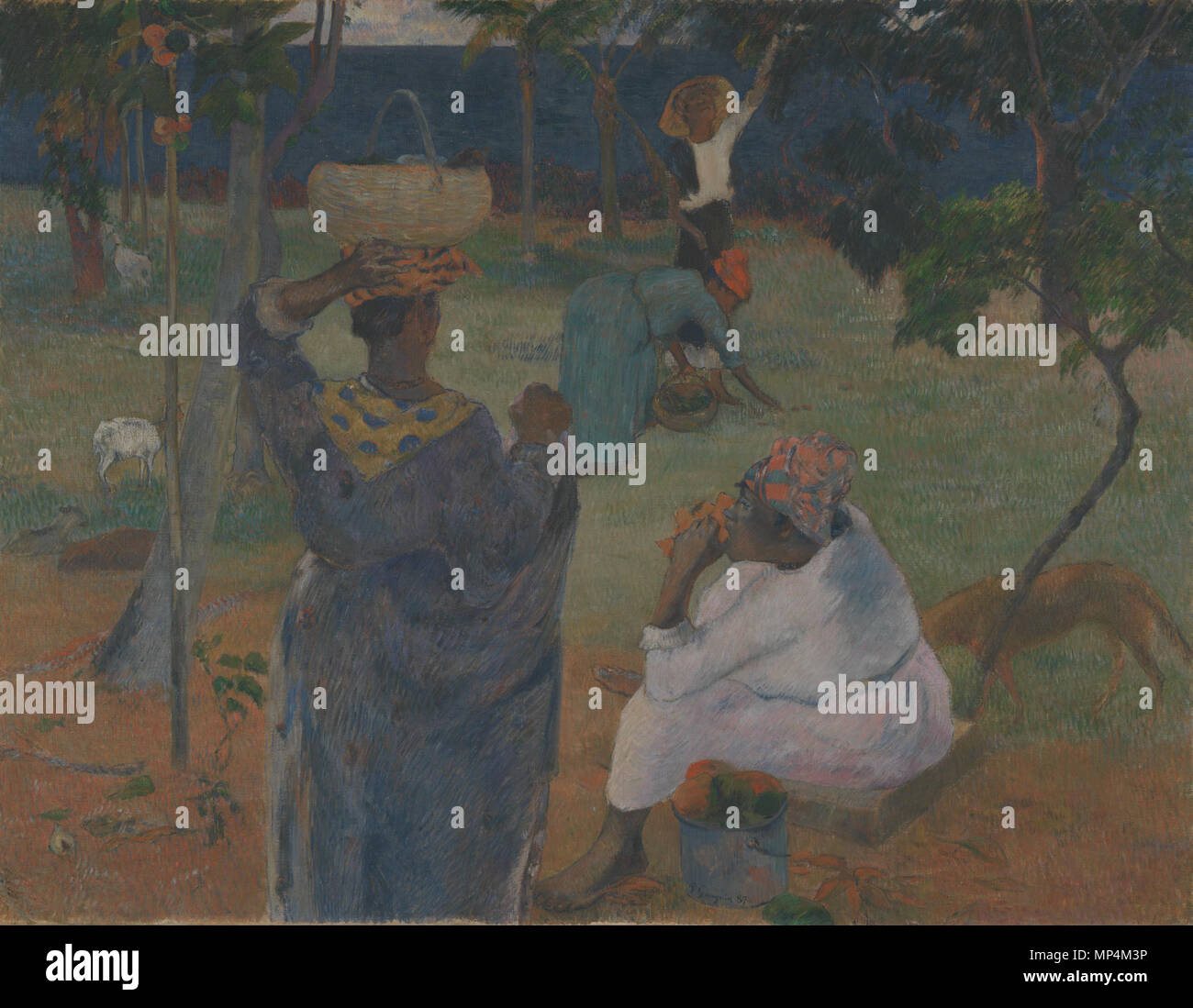 La cosecha de frutas hi-res stock photography and images - Alamy