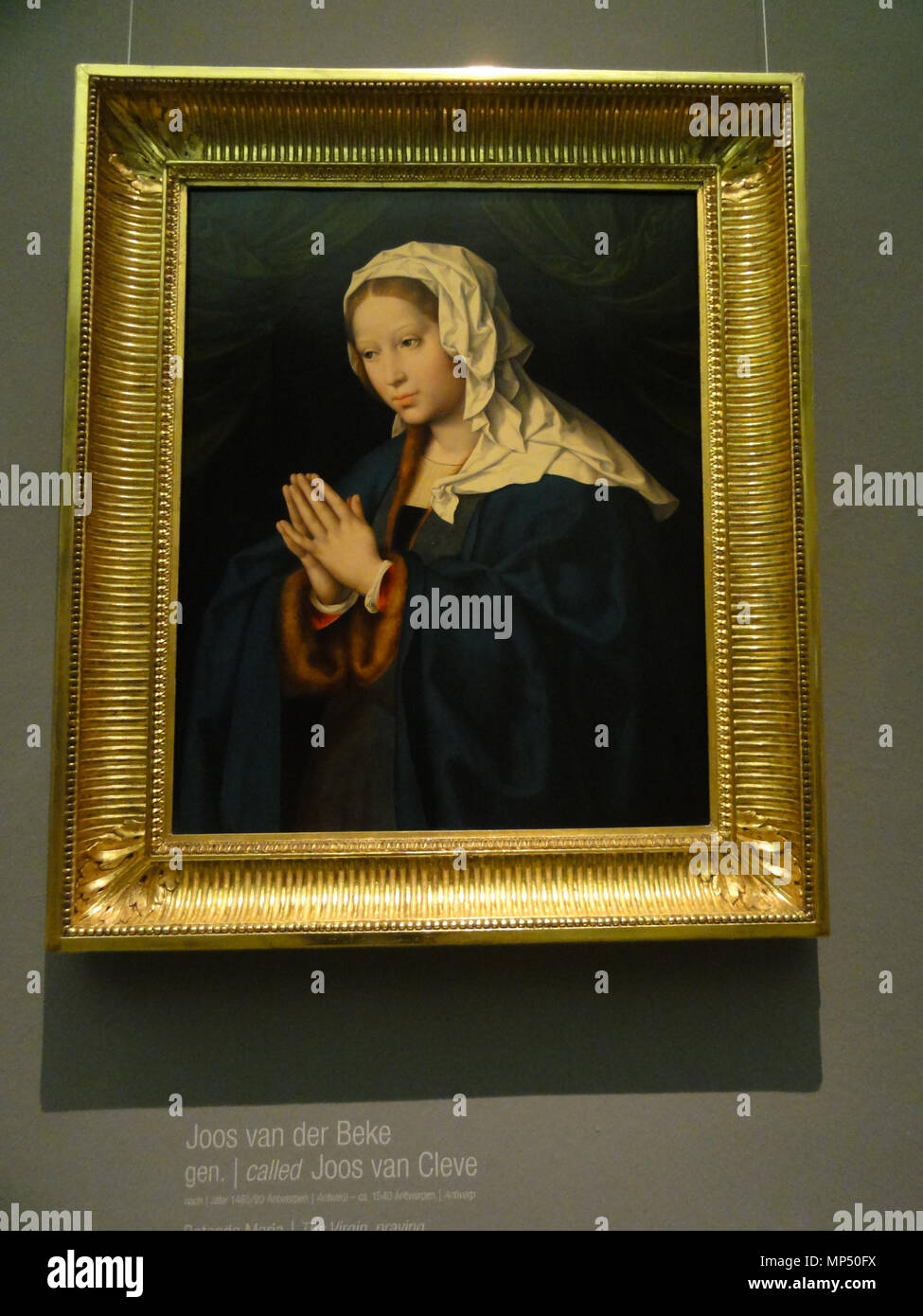 1485 1540 1541 hi-res stock photography and images - Alamy