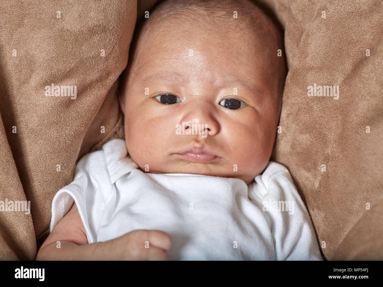 A three week old baby boy looking at the camera Stock Photo - Alamy