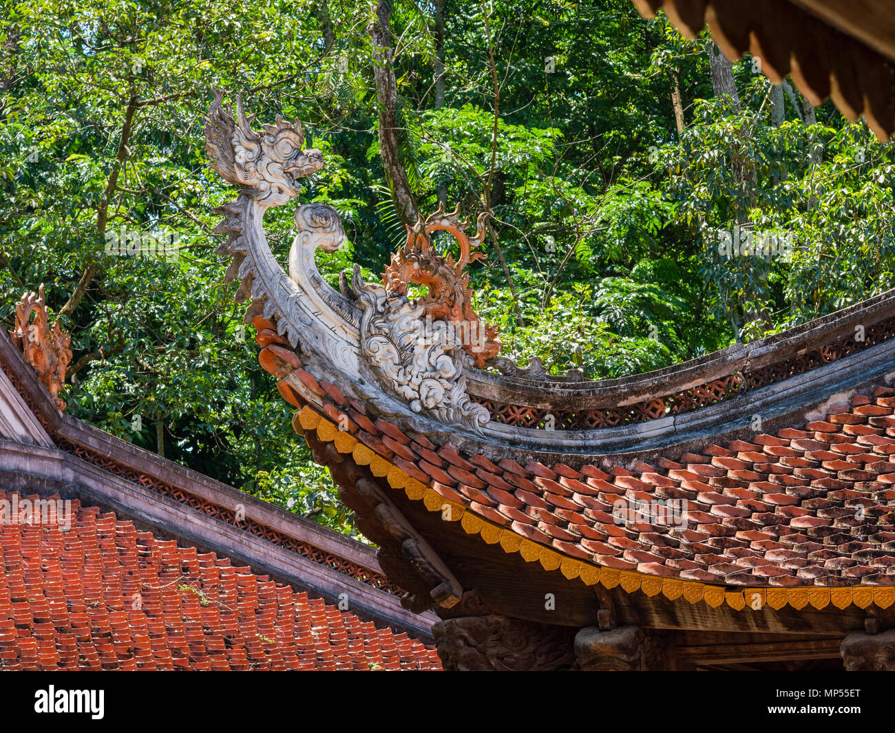 Detail of the Lam Kinh temple in Xuan Lam and Lam Son townlet of Tho ...