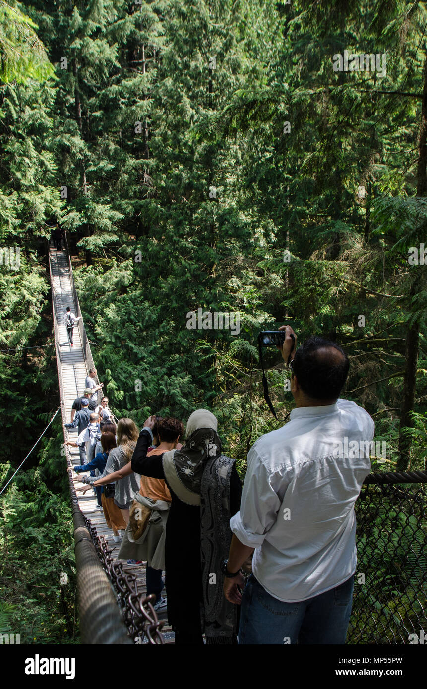 Tourist crossing suspension bridge enjoying beautiful forest views ...
