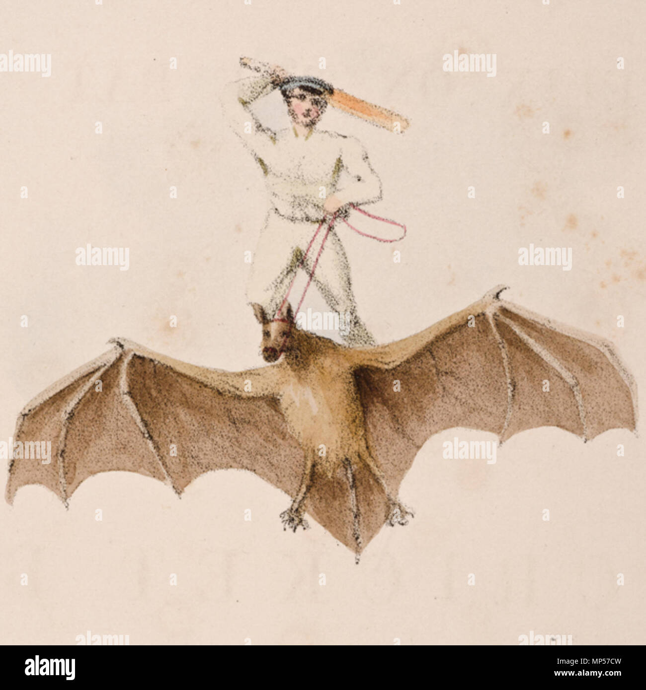Vintage bat art hi-res stock photography and images - Alamy