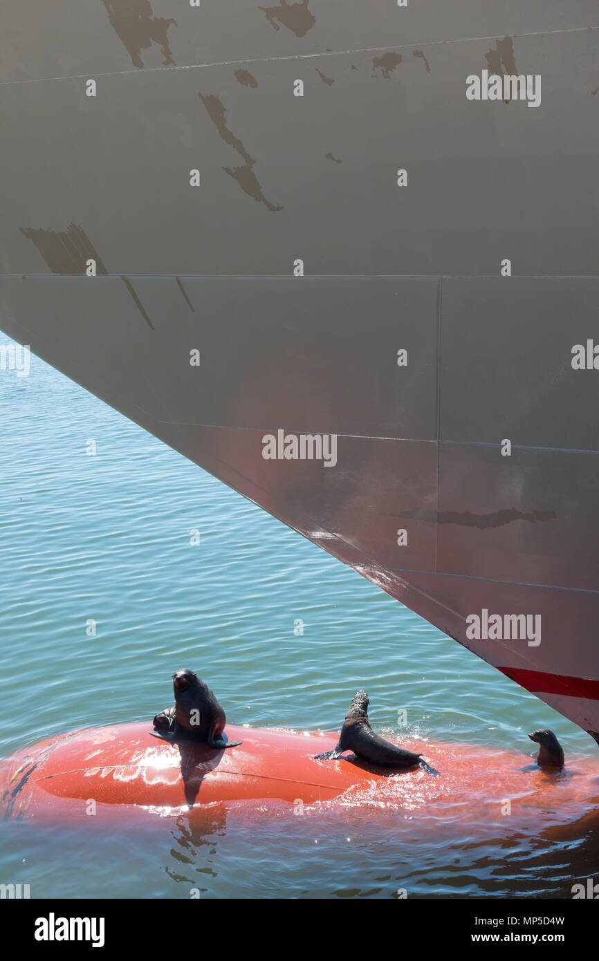 Take up residence hi-res stock photography and images - Alamy