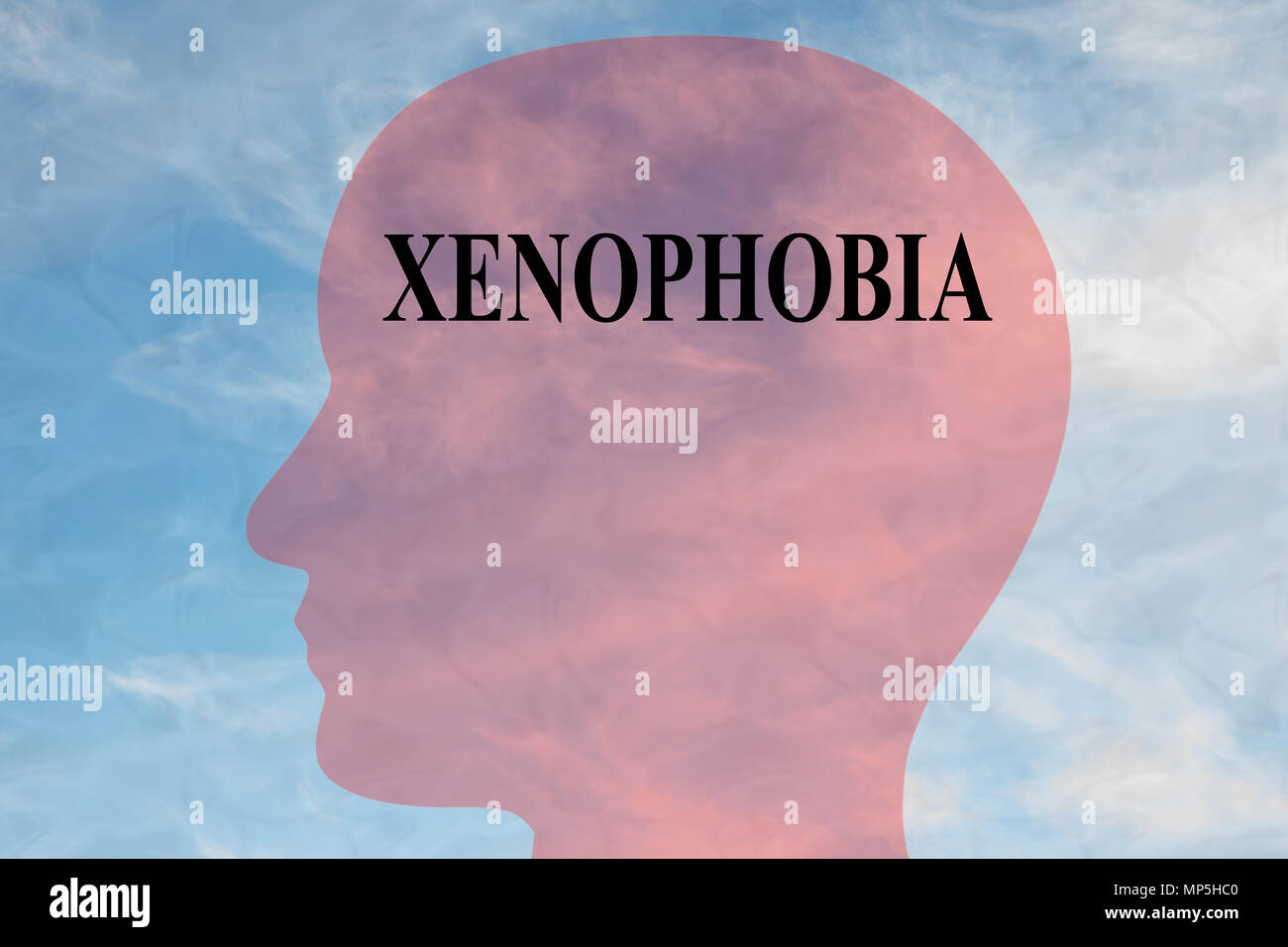 Render illustration of XENOPHOBIA title on head silhouette, with cloudy ...