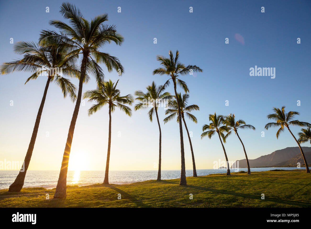 Amazing hawaiian beach Stock Photo - Alamy