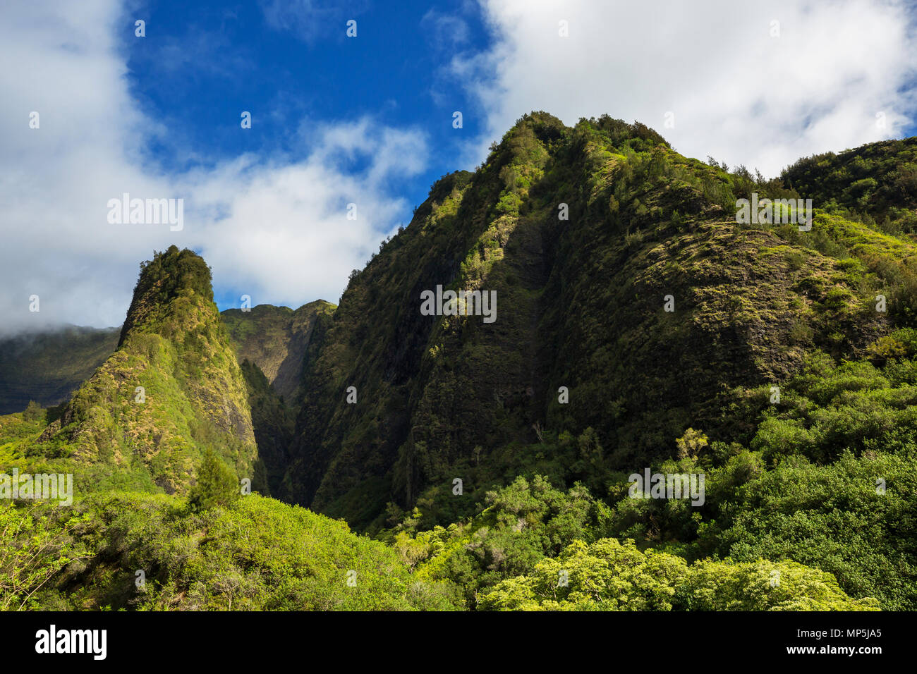 Beautiful tropical landscapes on Maui island, Hawaii Stock Photo - Alamy
