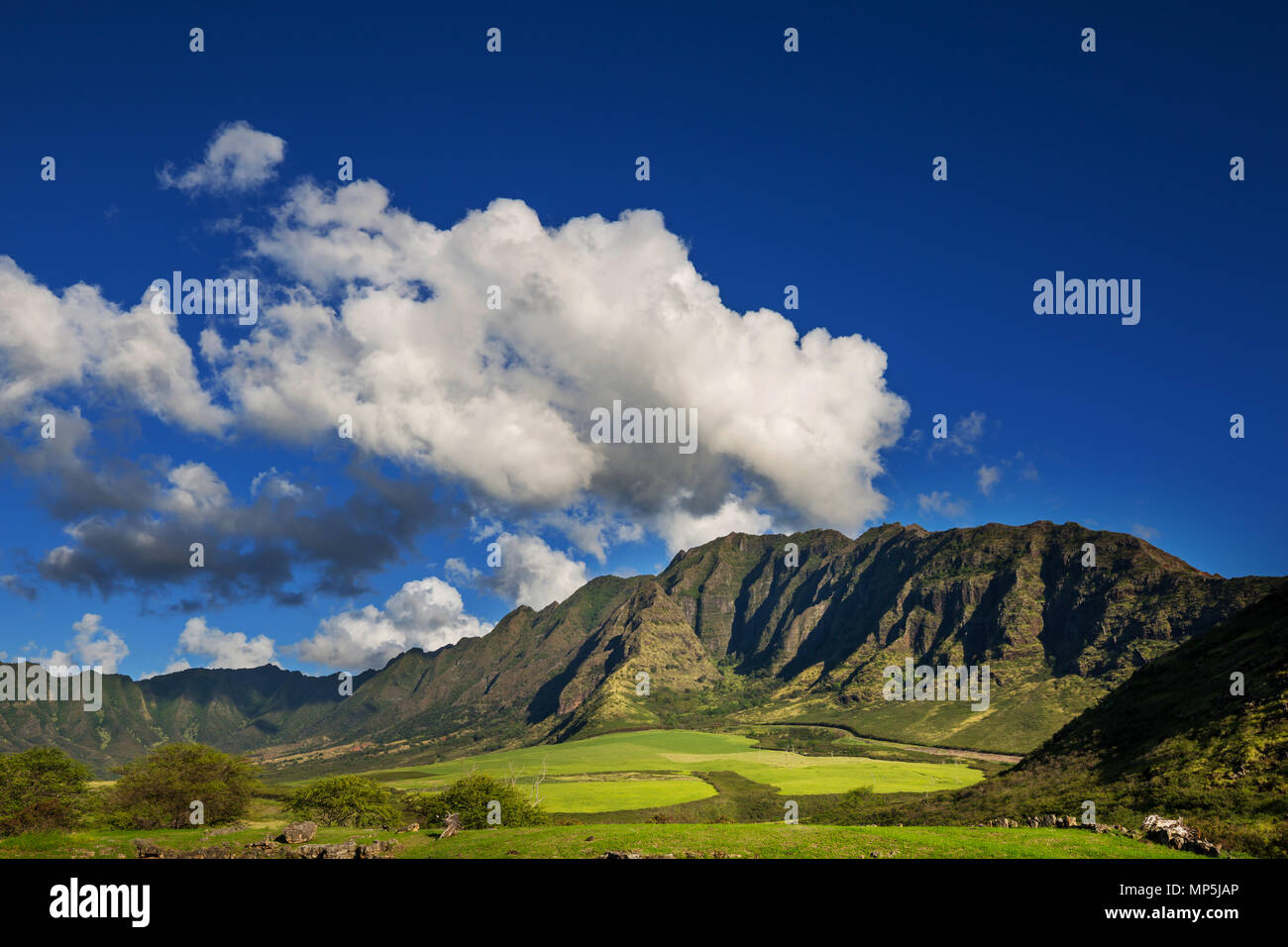 Beautiful landscapes in Oahu island, Hawaii Stock Photo - Alamy