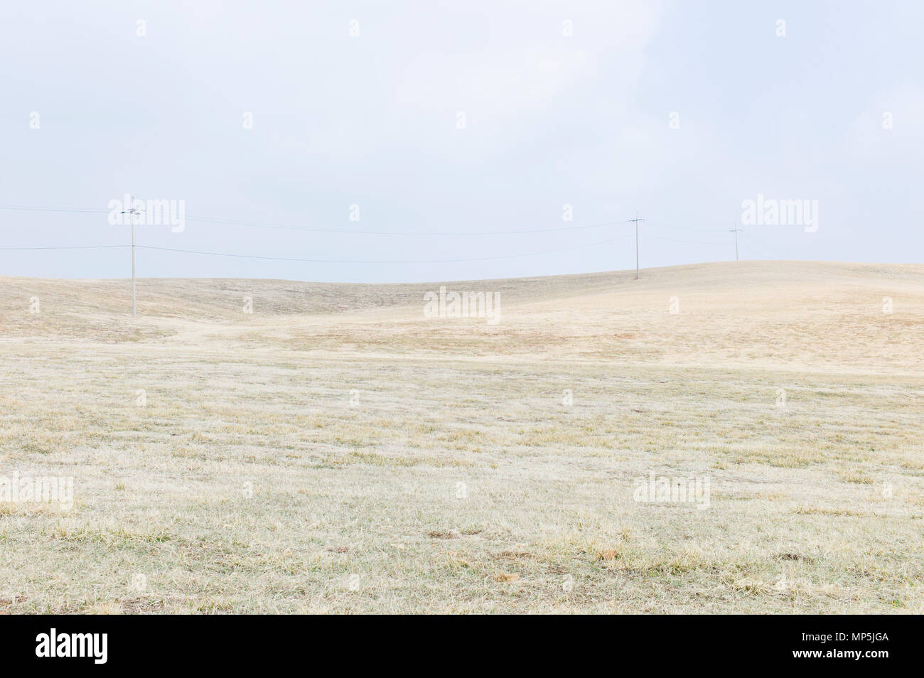 Pasture fields in the South Korea countryside Stock Photo - Alamy