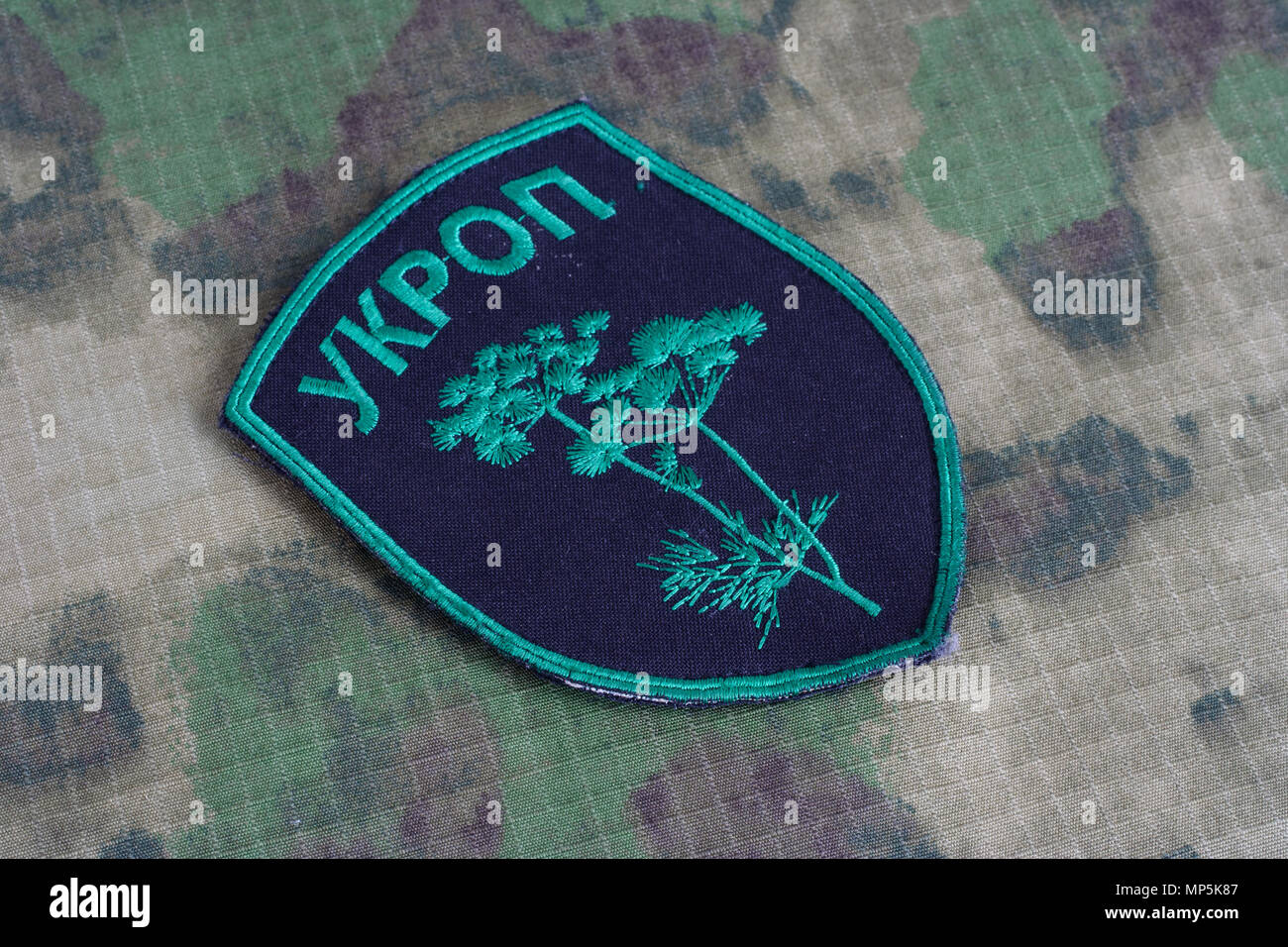 KIEV, UKRAINE - July, 08, 2015. Ukraine Army unofficial uniform badge ...