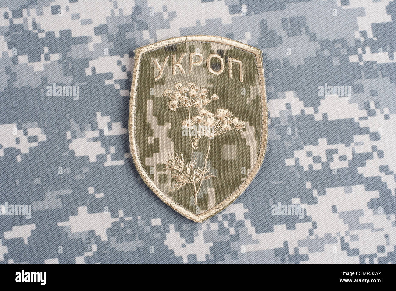 KIEV, UKRAINE - July, 16, 2015. Ukraine Army unofficial uniform badge ...