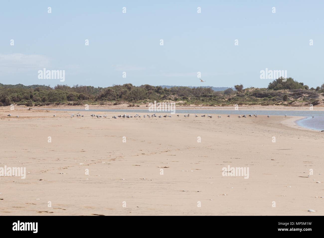Diabat morocco hi-res stock photography and images - Alamy