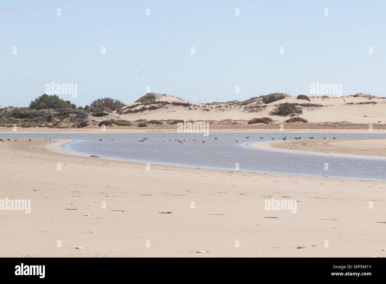 Diabat morocco hi-res stock photography and images - Alamy