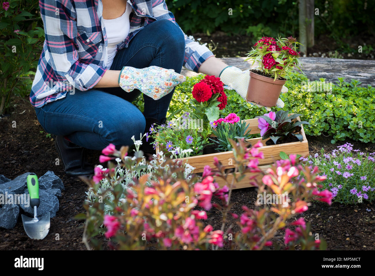 Unrecognisable female gardener holding beautiful flower ready to be ...