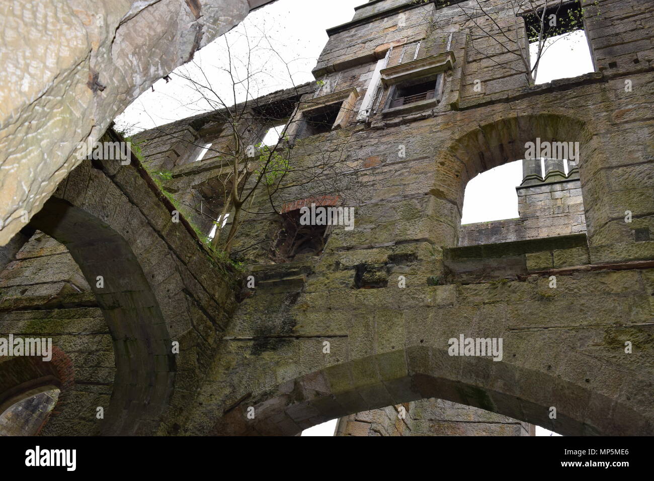 the pineapple and Dunmore house near airth Scotland,big trees Stock ...