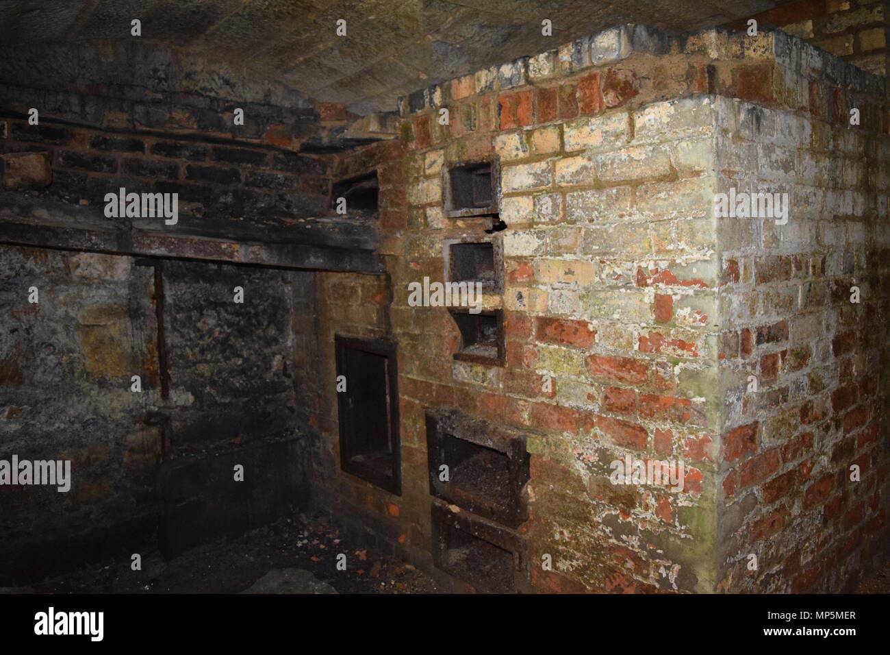 the pineapple and Dunmore house near airth Scotland,big trees Stock ...