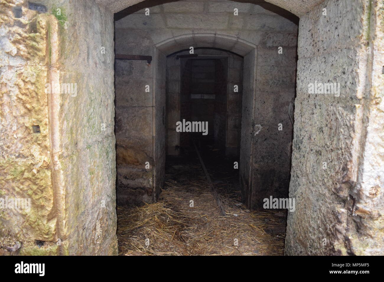 the pineapple and Dunmore house near airth Scotland,big trees Stock ...