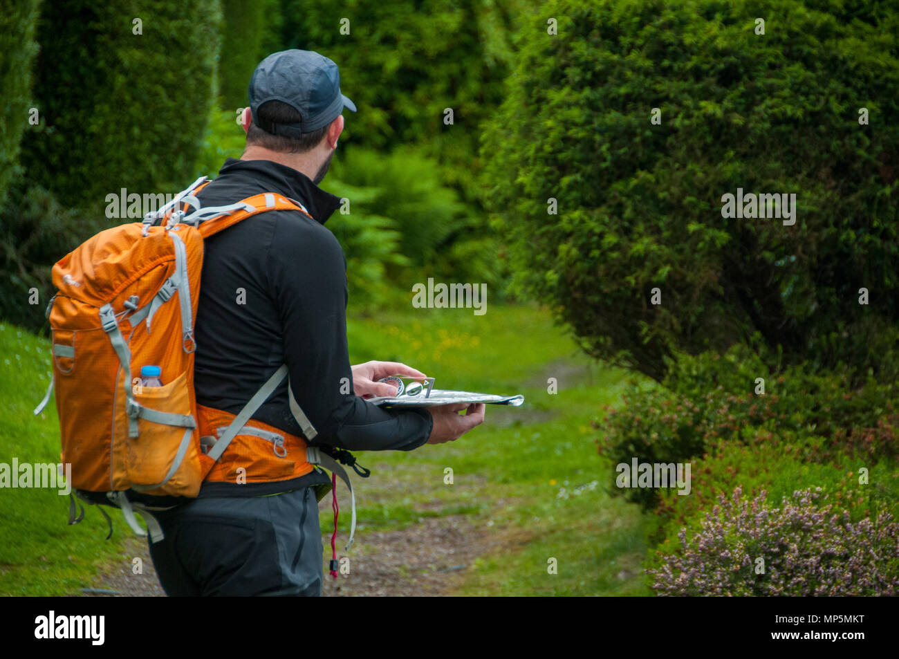 Hiker using map and compass for navigation Stock Photo - Alamy Hiker using map and compass for navigation Stock Photo - Alamy
