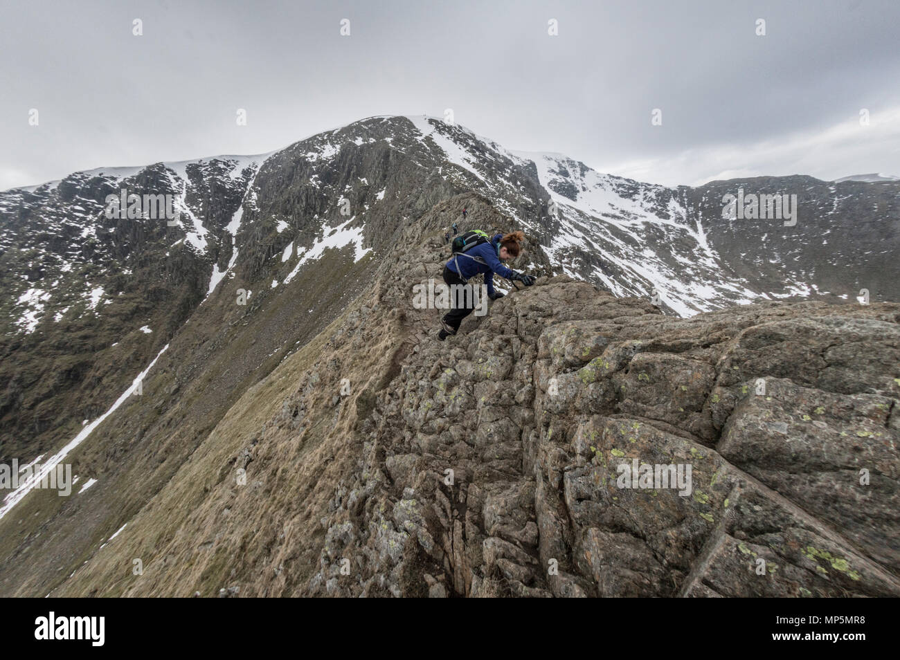 Striding Edge leading up to Helvellyn, Cumbria, UK Stock Photo - Alamy