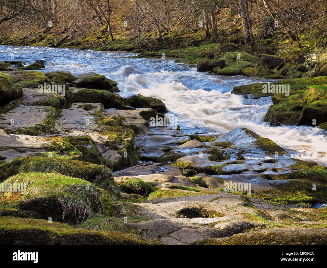 The strid yorkshire dales hi-res stock photography and images - Alamy