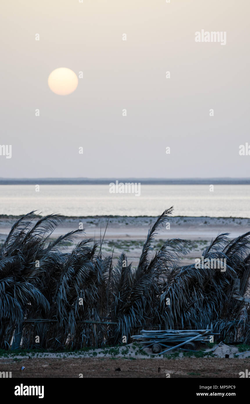 Gray sunset over Atlantic ocean and dark palm leaf hedge in Banc d ...