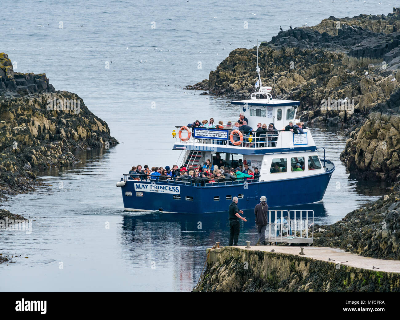 Passengers on May Princess tourist boat, turning to depart Isle of May ...